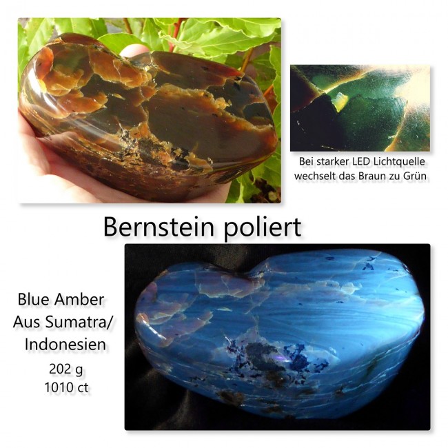 Bernstein : Bernstein